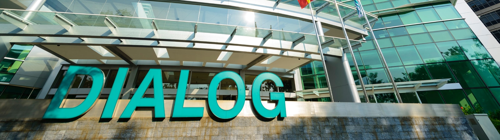 Inside Dialog Group: Innovating Global Energy Infrastructure